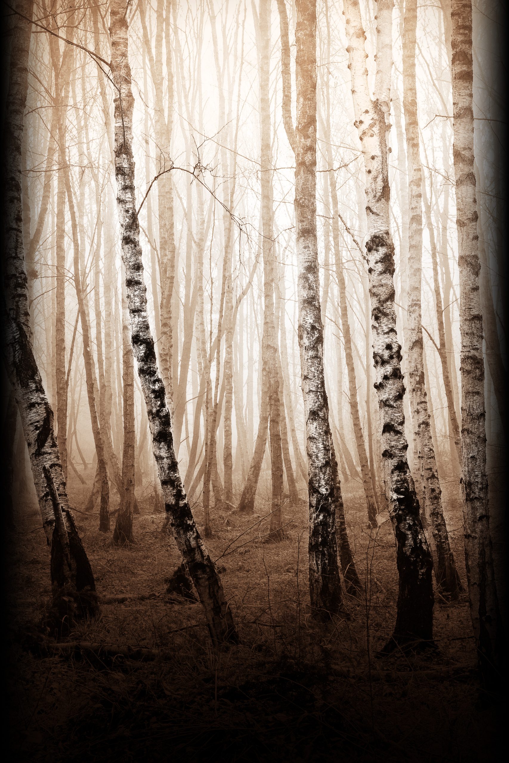 Podlaskie Stowarzyszenie Pamięci Zesłańców Sybiru - Sybiracy Białystok